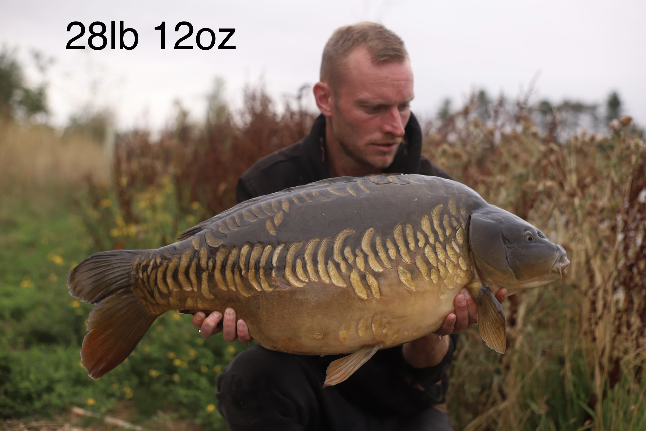 Pettitts lake | Total Carp